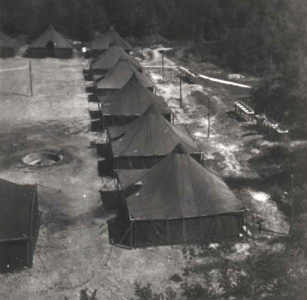 771st TD Battalion